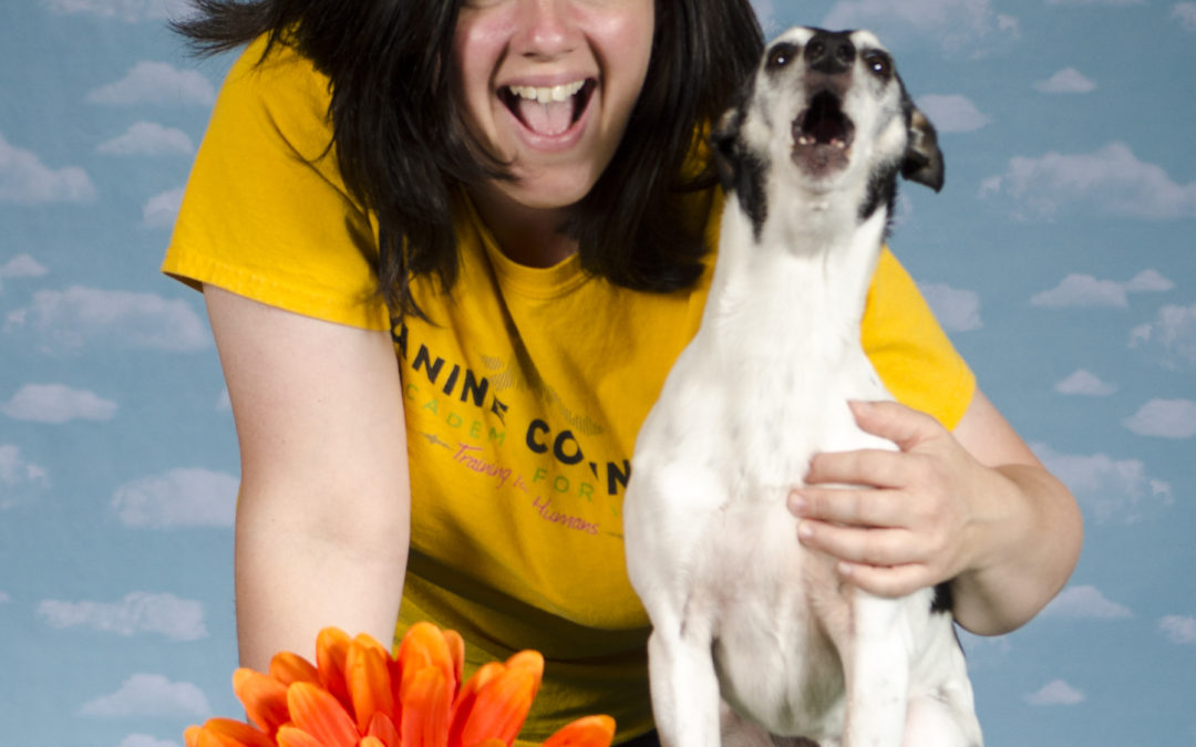 Meet the Trainers | Canine Country Academy