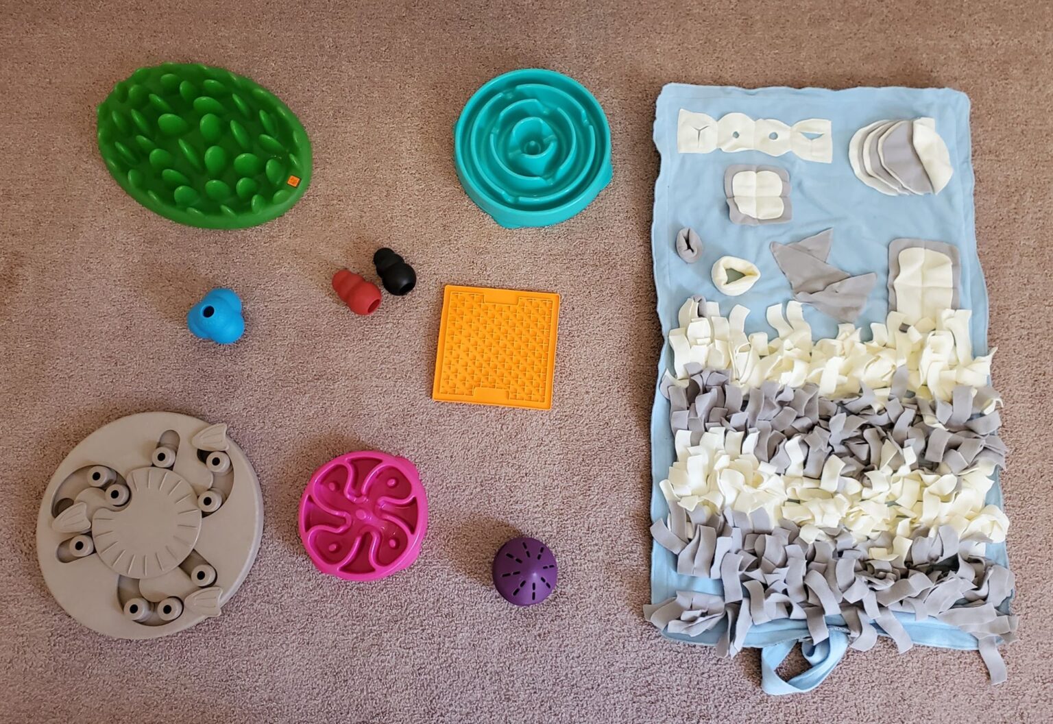 Mental Enrichment for Dogs | Canine Country Academy