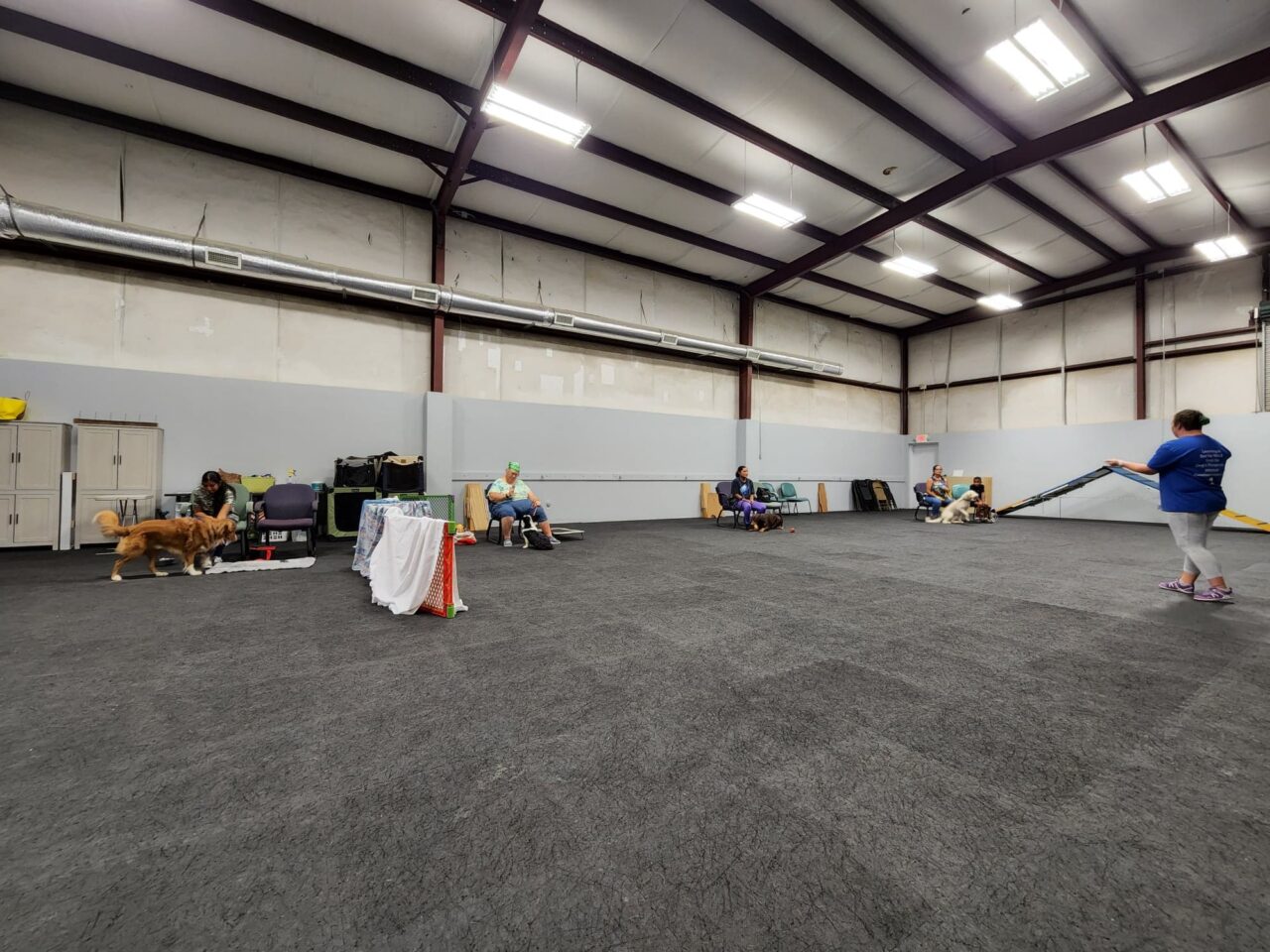 Canine Country Academy | Dog Training and Behavior