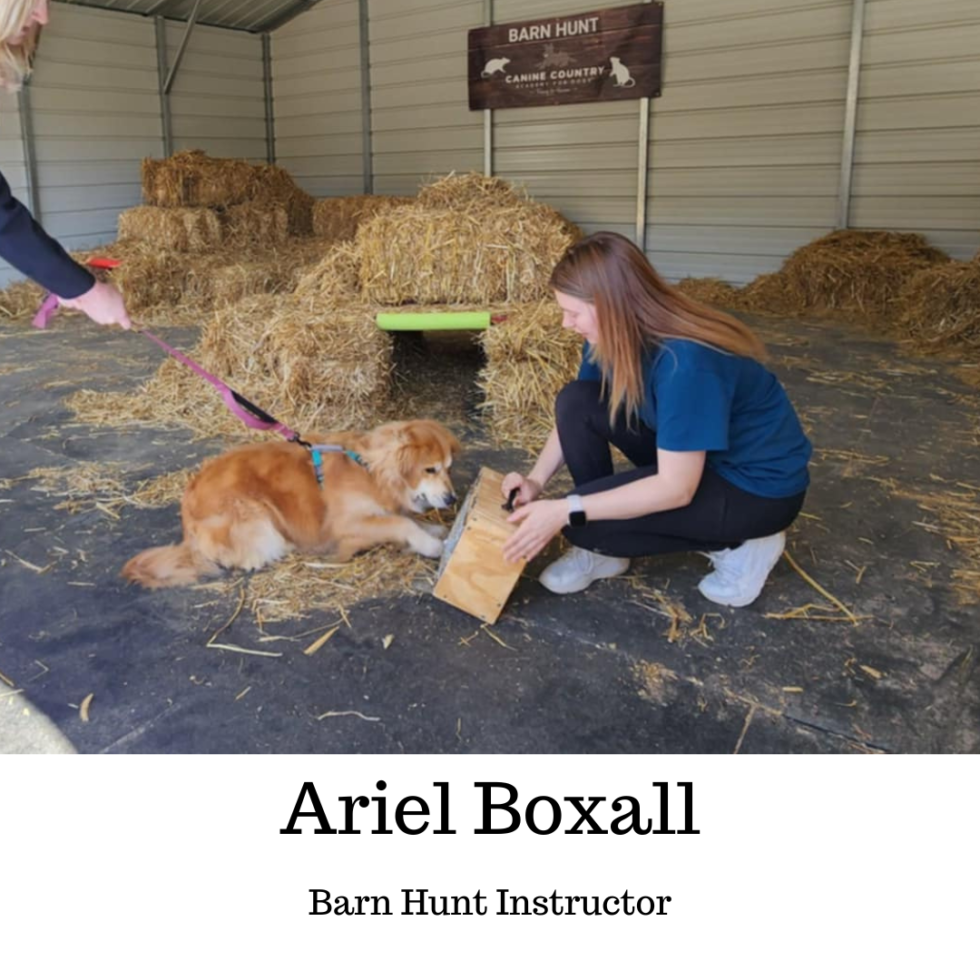 Appointments with Ariel Boxall | Canine Country Academy